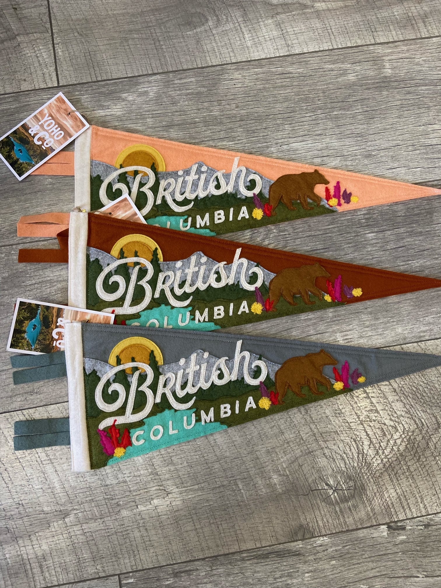 British Columbia Pennants Horizontal - Made in Canmore | Modern Alchemy ...